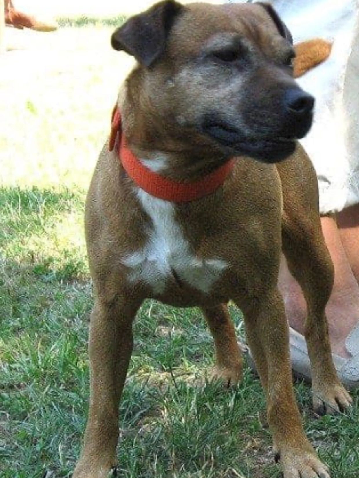 Breeders Code of Ethics